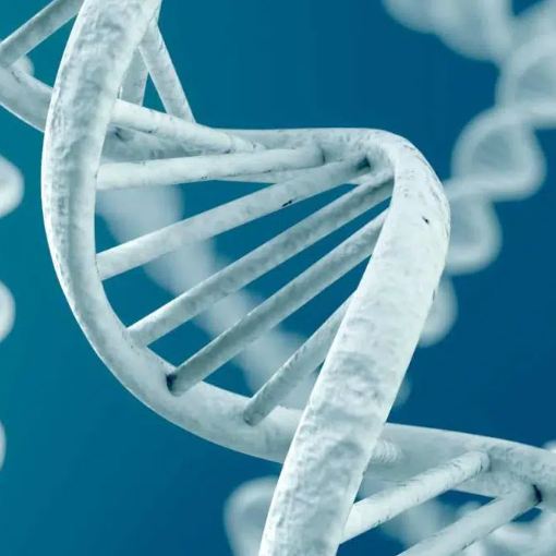 PANEL GENETICO KRAS BRAF NRAS – Pruebas Moleculares Chile