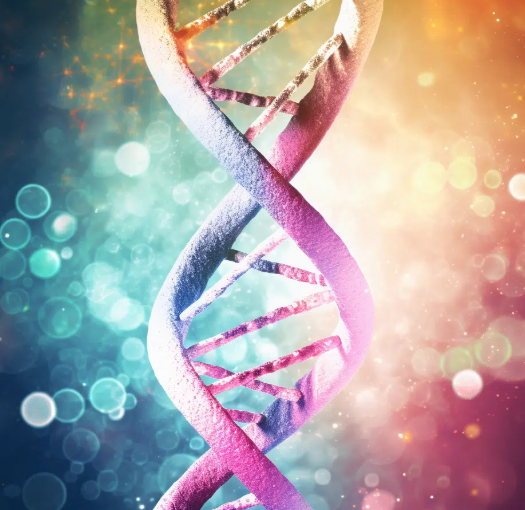 PRKRA gene sequencing – Pruebas Moleculares Chile